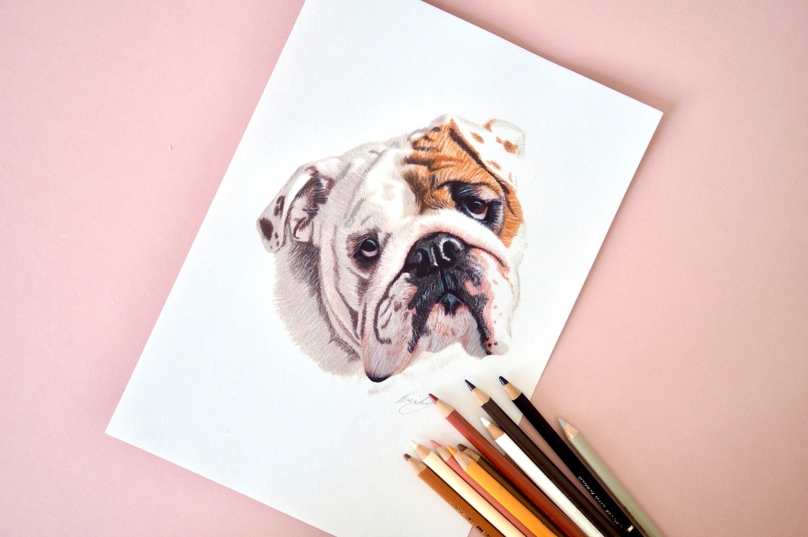 Custom Pet Portrait | Hand Drawn Coloured Pencil Pet Commission | A4 ...