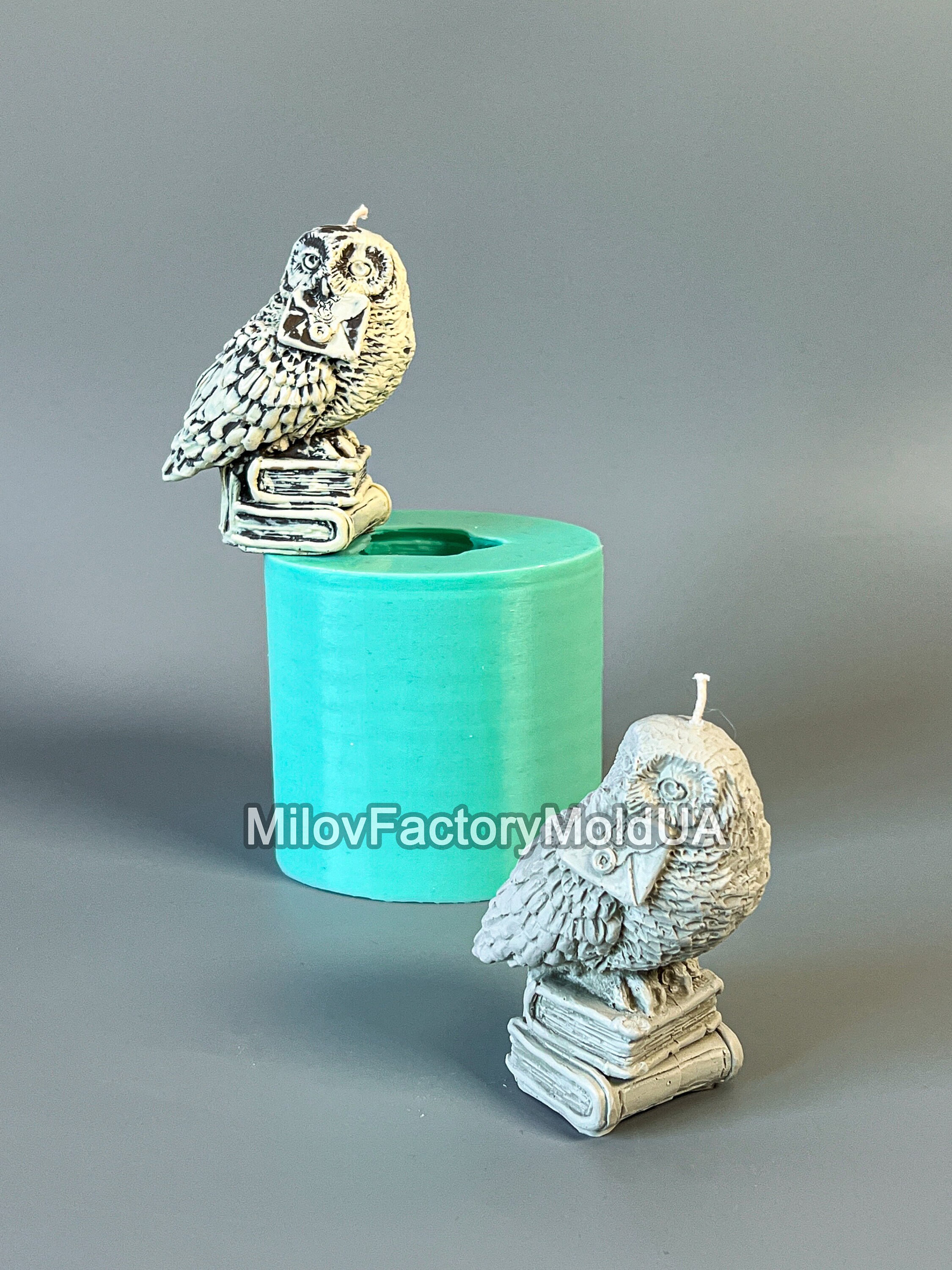 Owl With a Letter Candle Silicone Mold - Magic Candle Mold - Owl ...