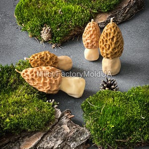 Morel Mushroom Candle Mold - Morchella Mushroom Candle Mold - True ...