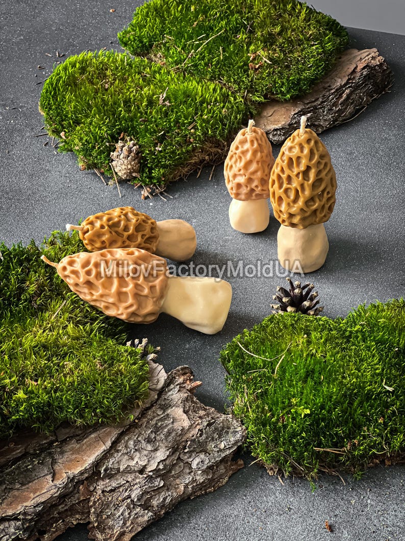 Morel Mushroom Candle Mold - Morchella Mushroom Candle Mold - True ...
