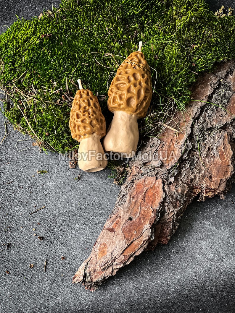Morel Mushroom Candle Mold - Morchella Mushroom Candle Mold - True ...
