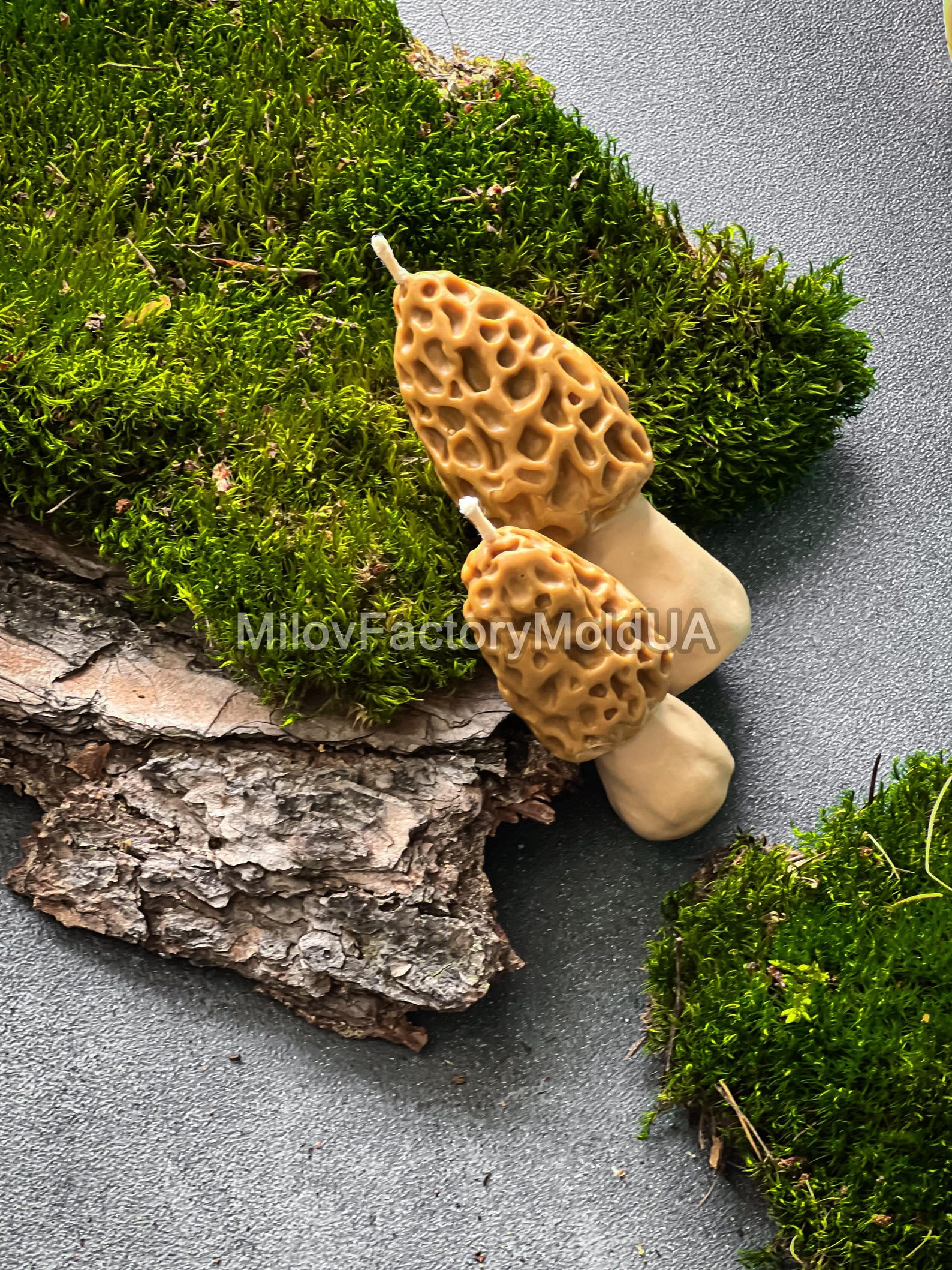 Morel Mushroom Candle Mold - Morchella Mushroom Candle Mold - True ...