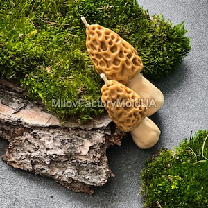 Morel Mushroom Candle Mold - Morchella Mushroom Candle Mold - True ...