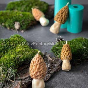 Morel Mushroom Candle Mold - Morchella Mushroom Candle Mold - True ...