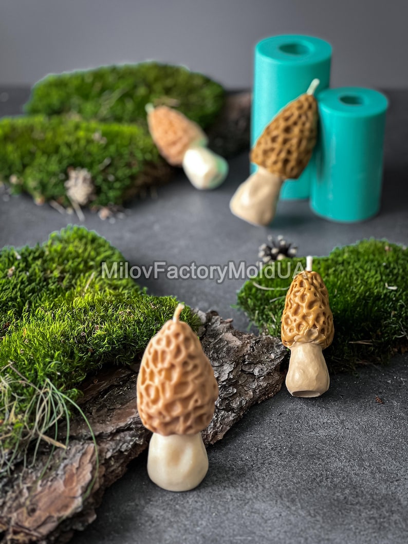 Morel Mushroom Candle Mold - Morchella Mushroom Candle Mold - True ...
