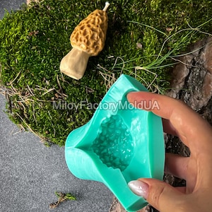 Morel Mushroom Candle Mold - Morchella Mushroom Candle Mold - True ...