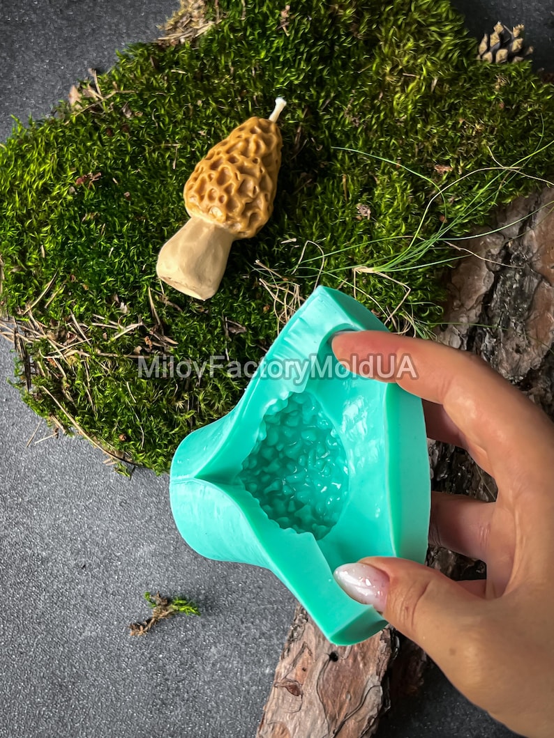 Morel Mushroom Candle Mold - Morchella Mushroom Candle Mold - True ...
