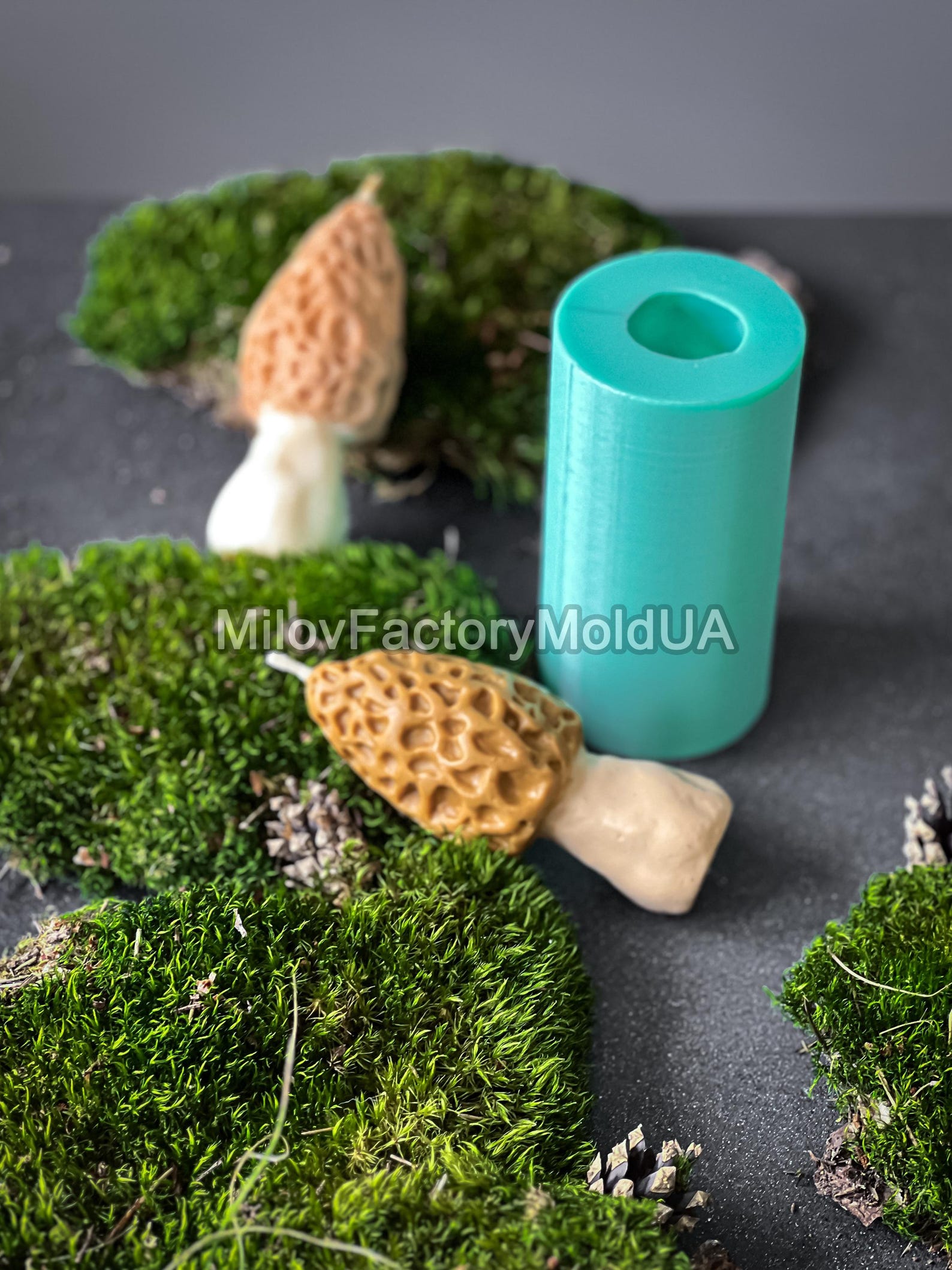 Morel Mushroom Candle Mold - Morchella Mushroom Candle Mold - True ...