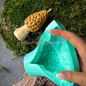 Morel Mushroom Candle Mold - Morchella Mushroom Candle Mold - True ...