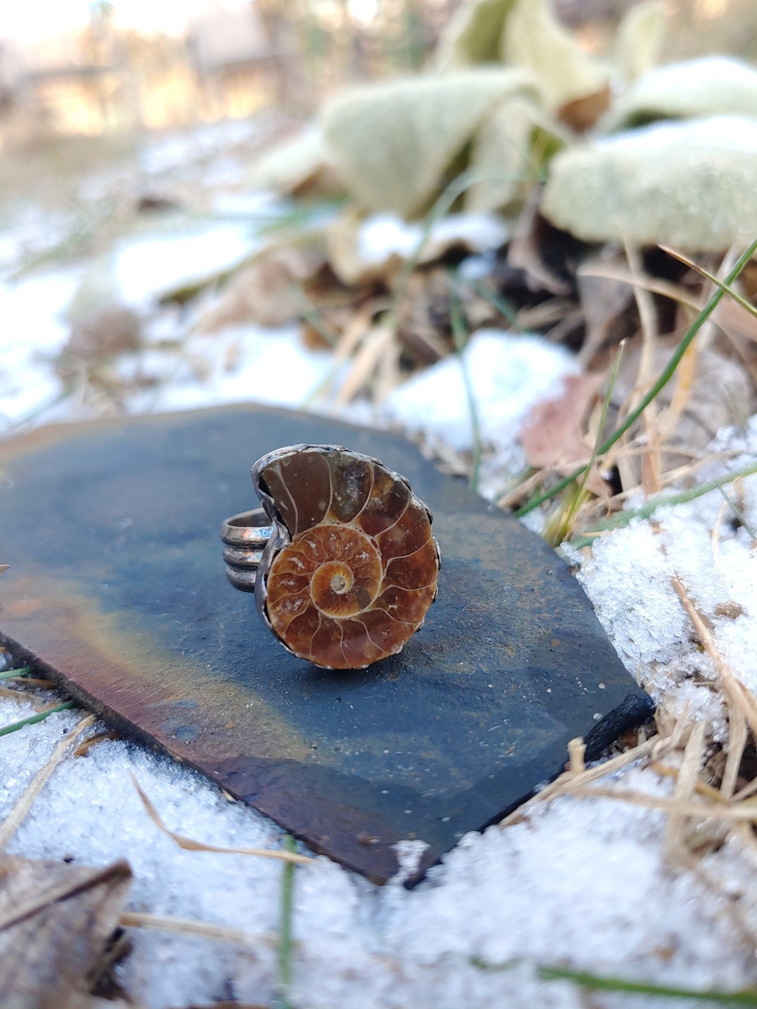 Ammonite Fossil Ring. Vintage Patina. Size 9 U.S. Silver Bezel. Crystal ...