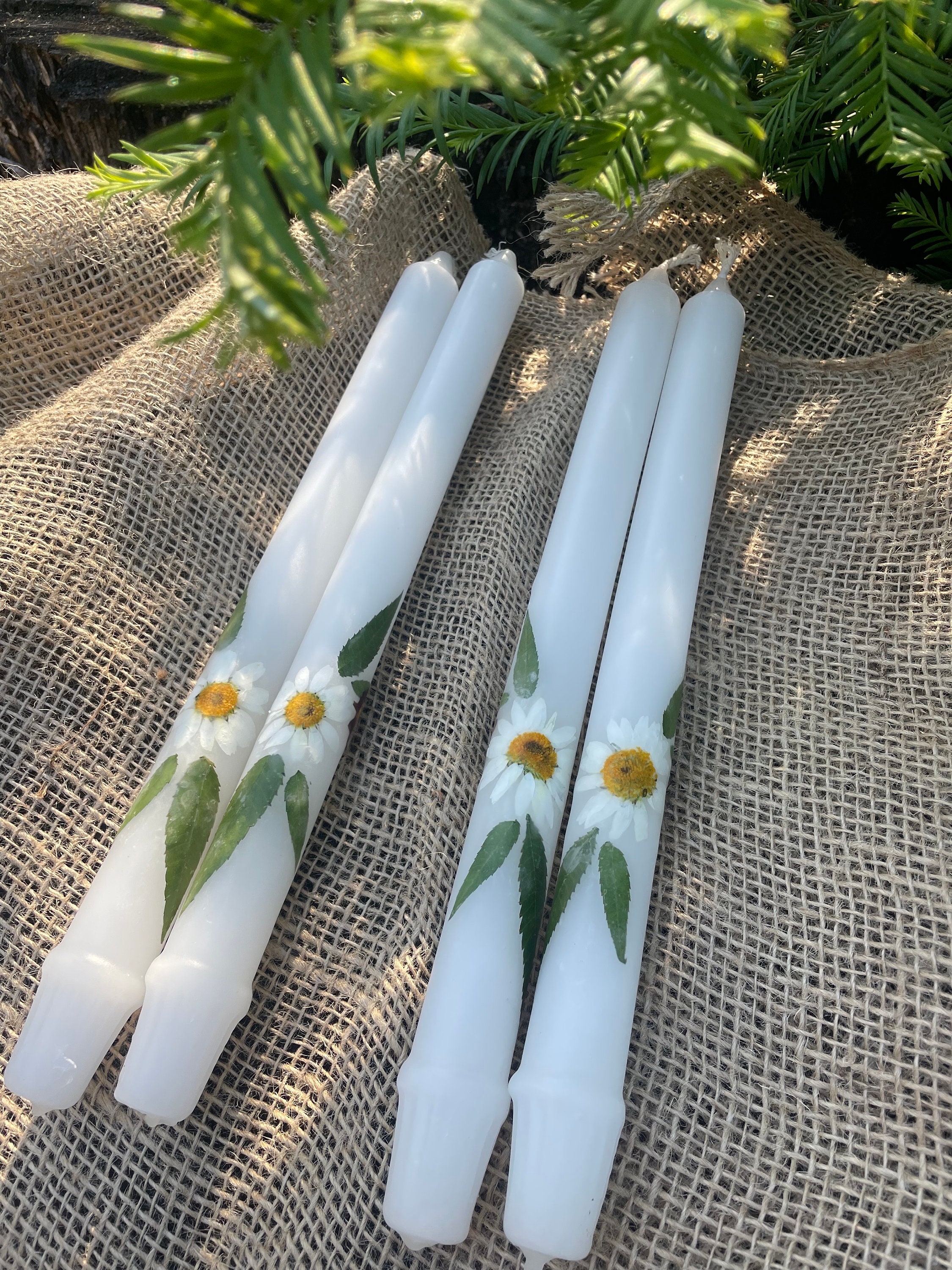 Pressed Flower Taper Candles: Botanical Taper Candle Set With Daisies ...