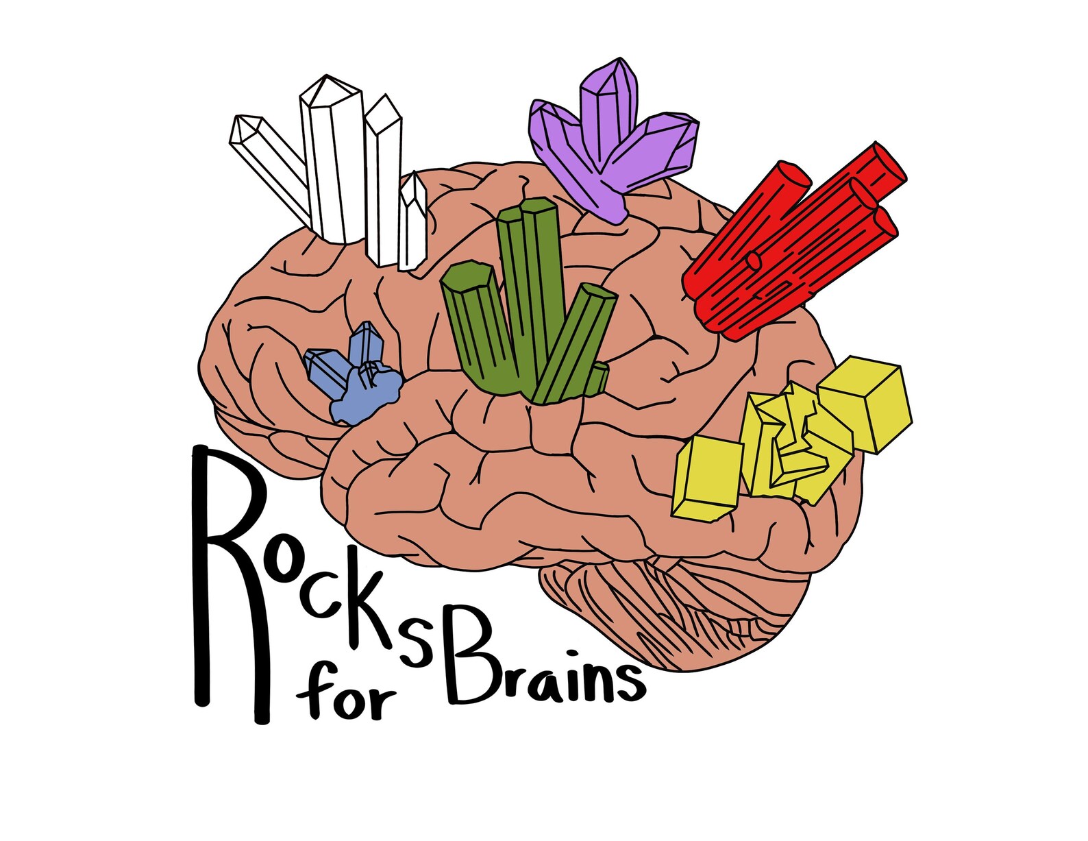 Rocks for Brains Vinyl Sticker Geology Gift Science Teacher - Etsy