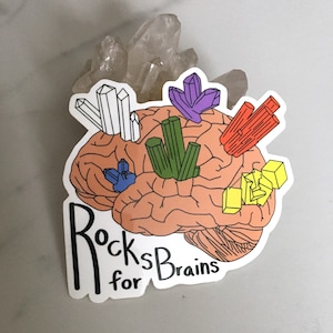 Rocks for Brains Vinyl Sticker, Geology Gift, Science Teacher Presents ...