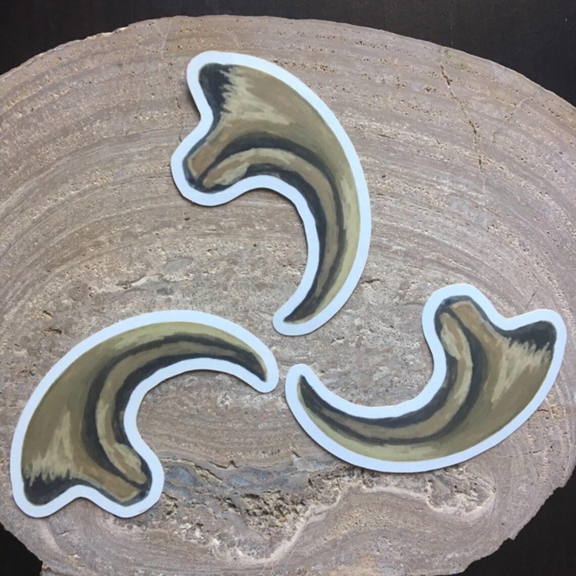 Utah Raptor Claw Sticker Paleontology Gift Best Teacher - Etsy