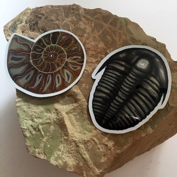 Paleontology Ammonite Trilobite Sticker Geology Paleontology | Etsy