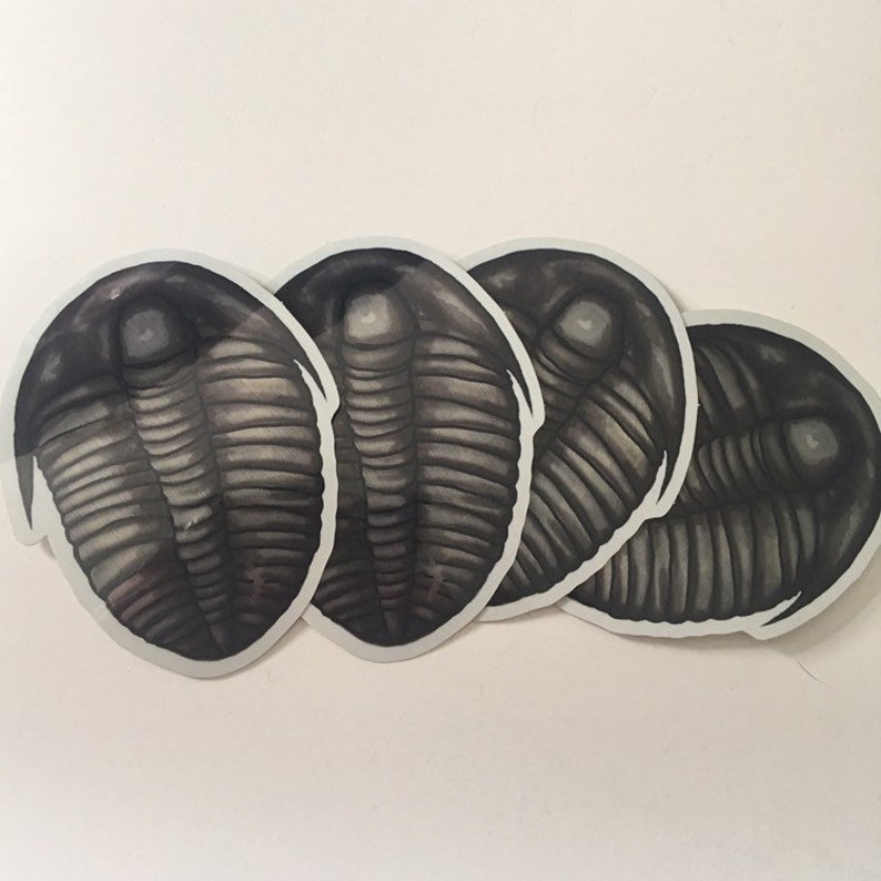 Paleontology Ammonite Trilobite Sticker Geology Paleontology | Etsy