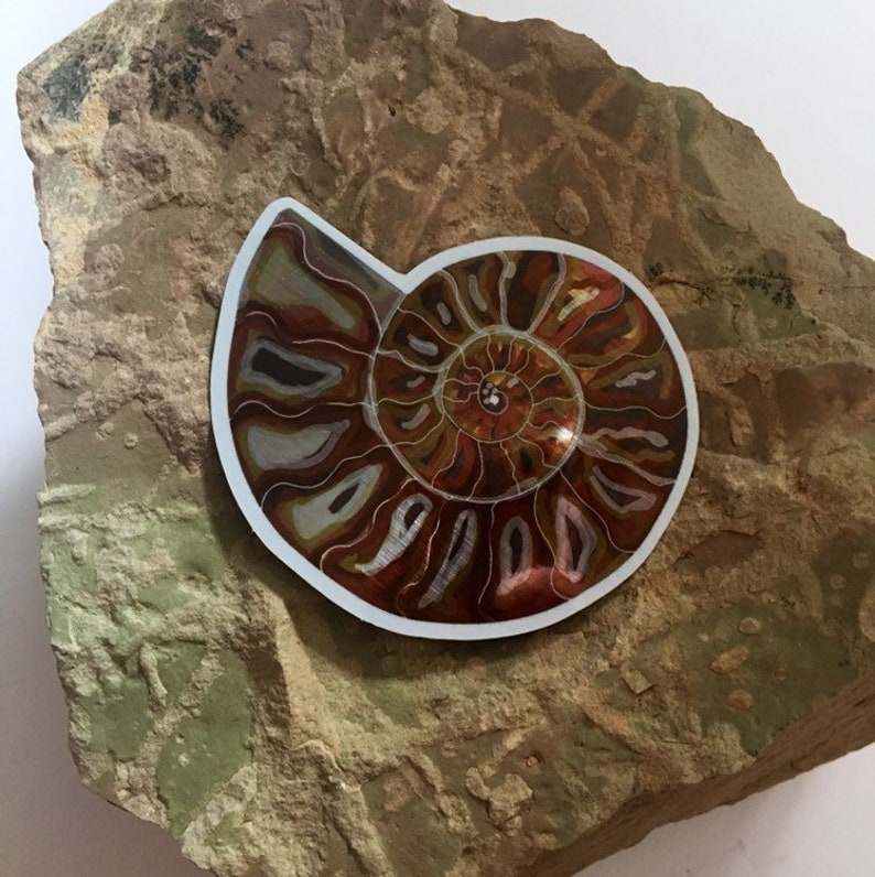 Paleontology Ammonite Trilobite Sticker Geology Paleontology | Etsy
