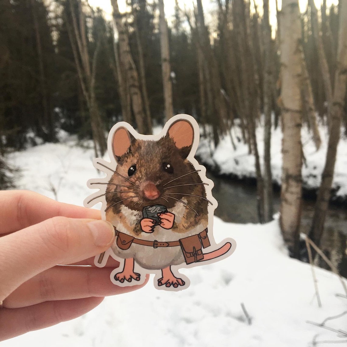 Field Mouse Geology Vinyl Sticker - Etsy
