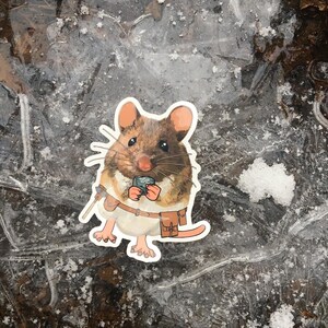 Field Mouse Geology Vinyl Sticker - Etsy