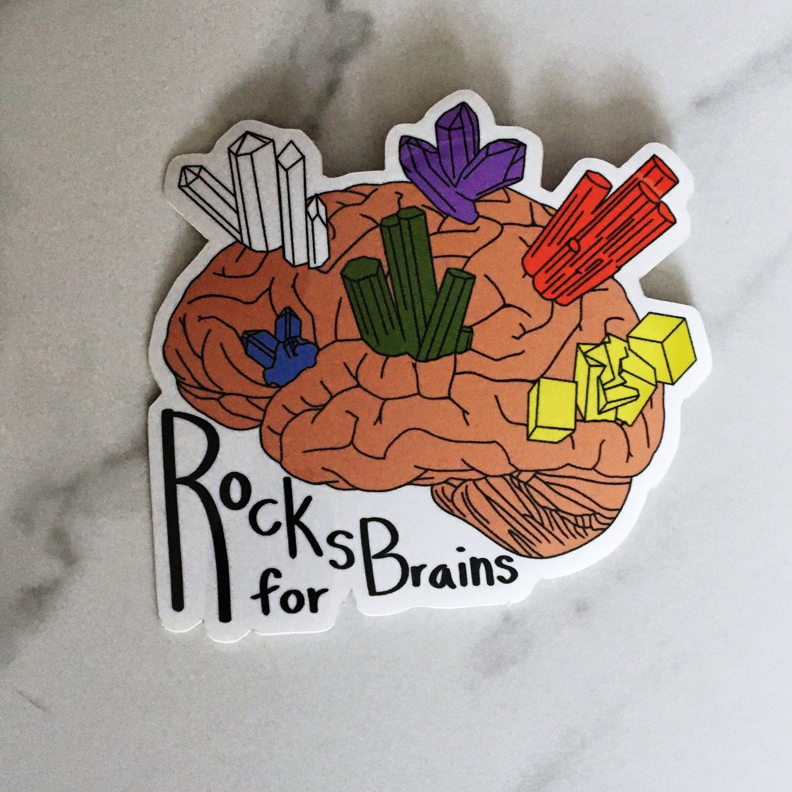Rocks for Brains Vinyl Sticker Geology Gift Science Teacher - Etsy