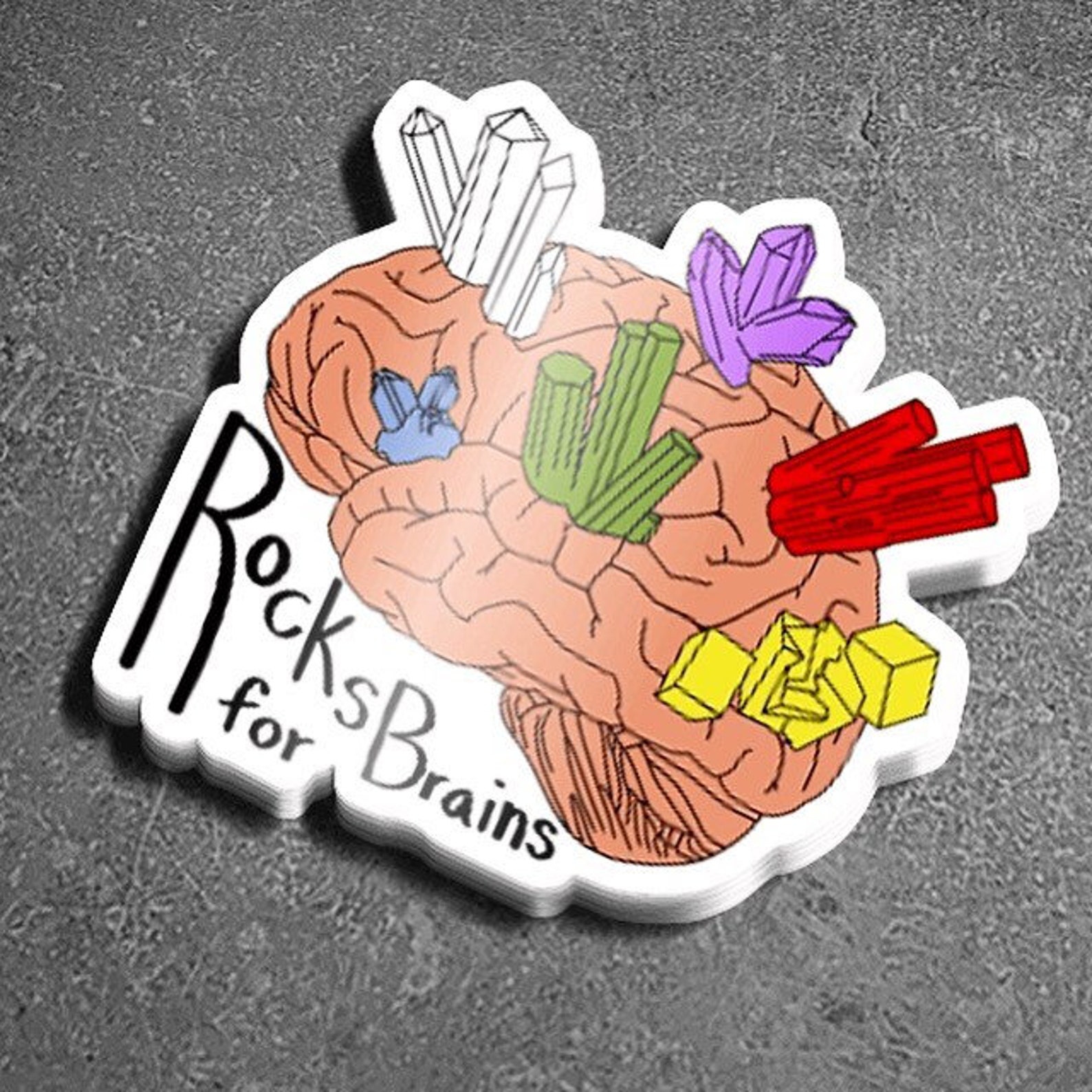 Rocks for Brains Vinyl Sticker Geology Gift Science Teacher - Etsy