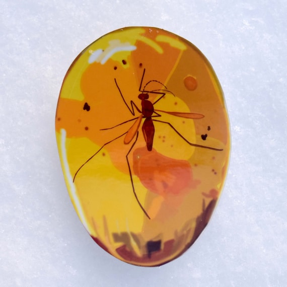 Mosquito in Amber Vinyl Sticker - Etsy