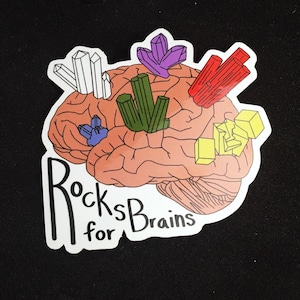 Rocks for Brains Vinyl Sticker, Geology Gift, Science Teacher Presents ...