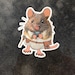 Field Mouse Geology Vinyl Sticker - Etsy