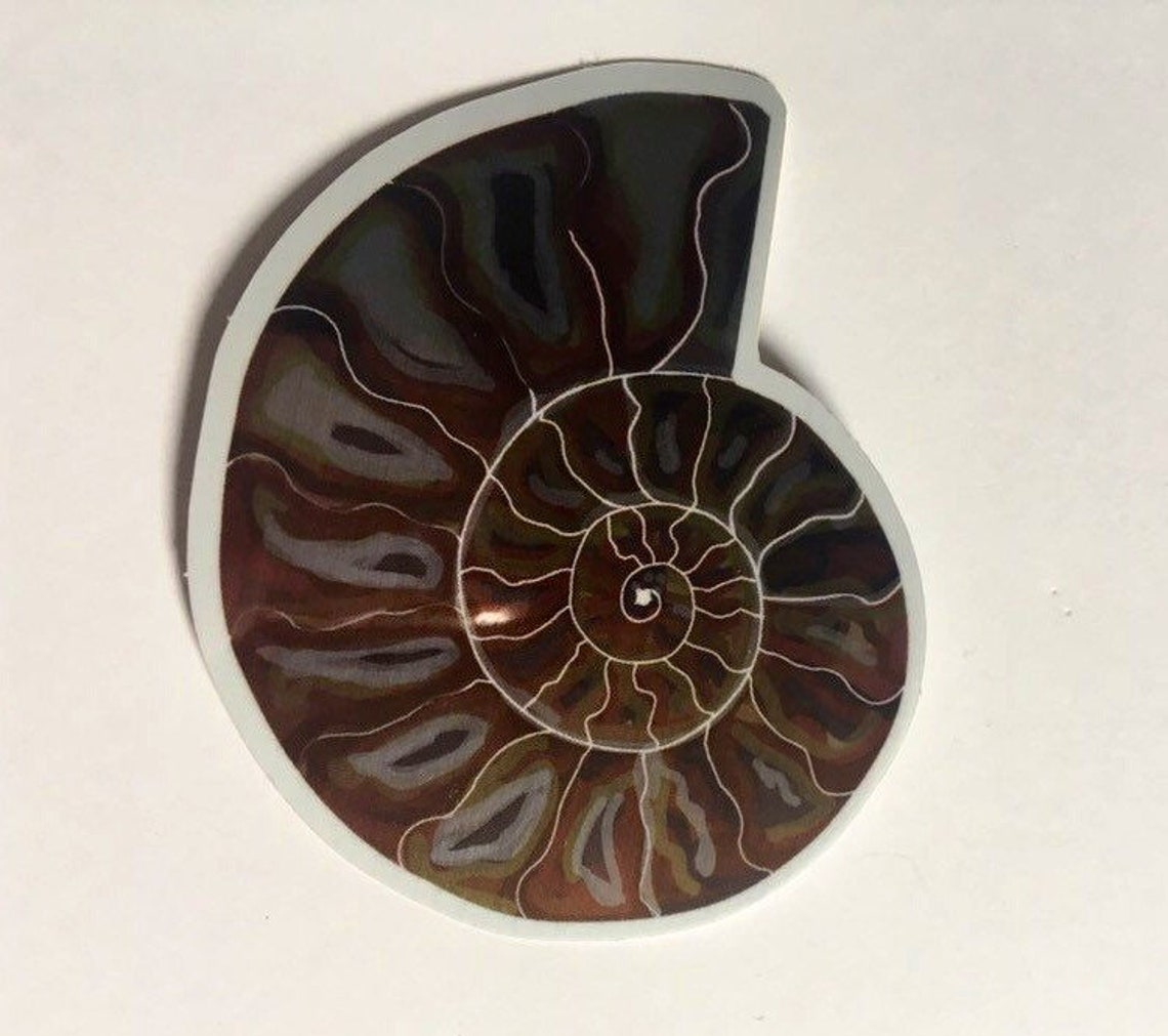 Paleontology Ammonite Trilobite Sticker Geology Paleontology | Etsy