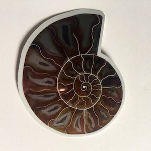 Paleontology Ammonite Trilobite Sticker Geology Paleontology Gift - Etsy