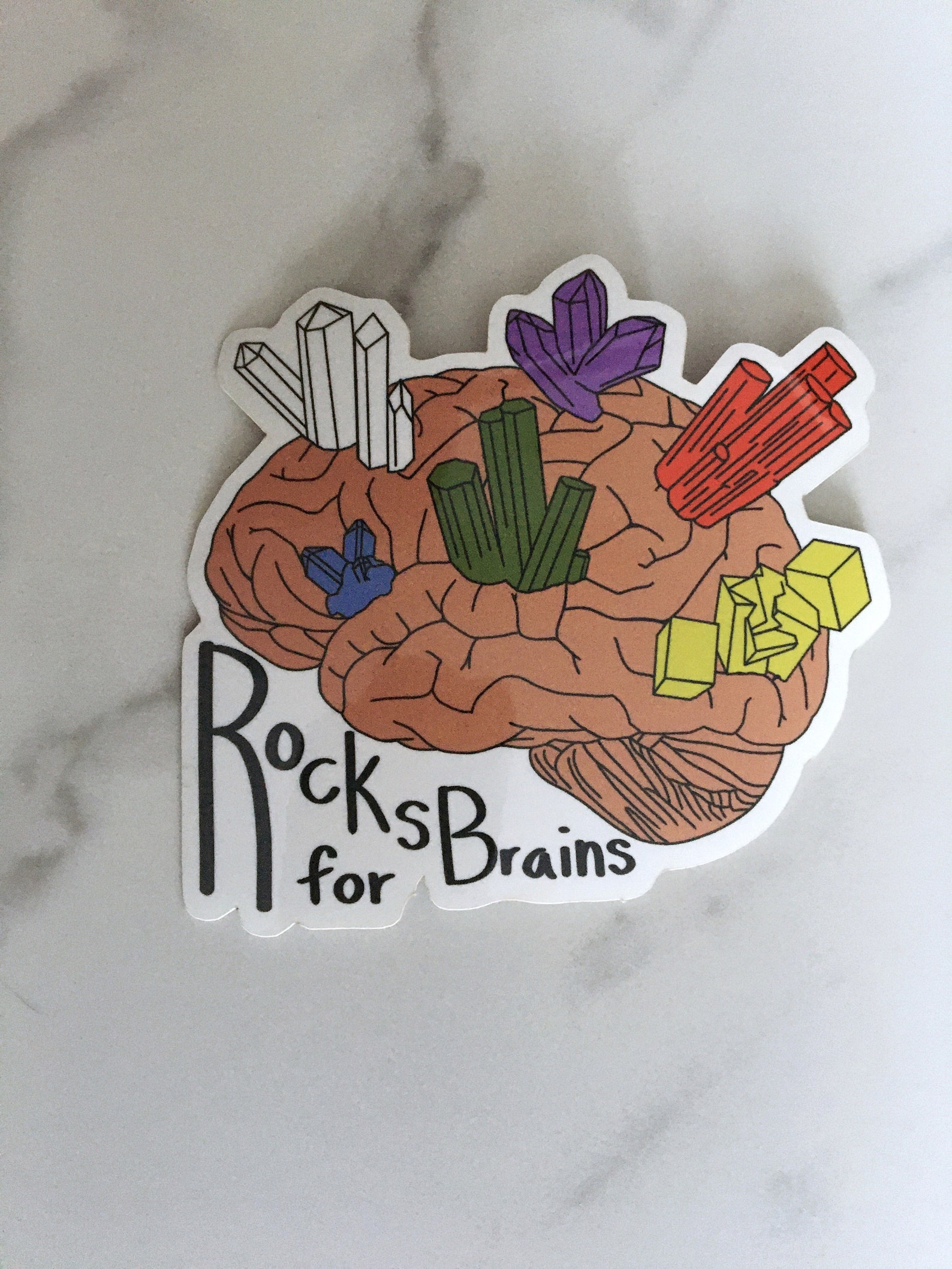 Rocks for Brains Vinyl Sticker Geology Gift Science Teacher - Etsy