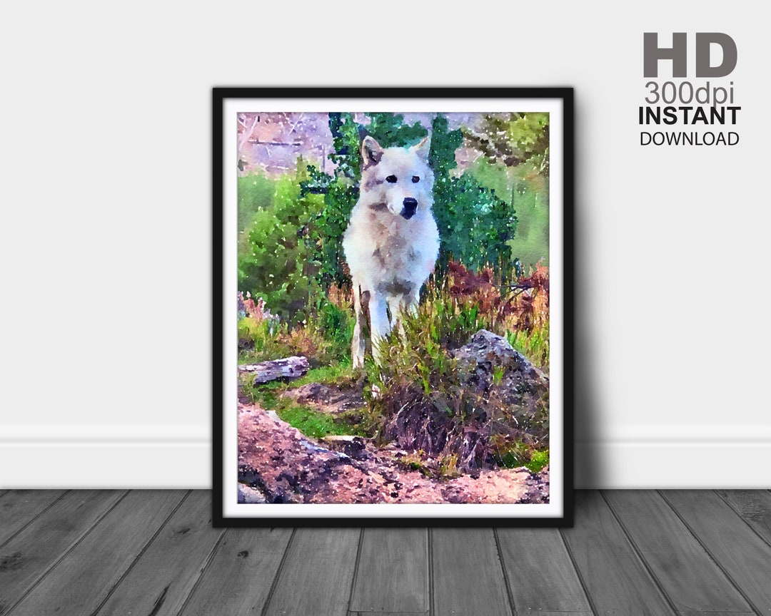 Wolf Digital Art, Wolf Art, Wolf Art Prints, Wolf Wall Art, White Wolf ...