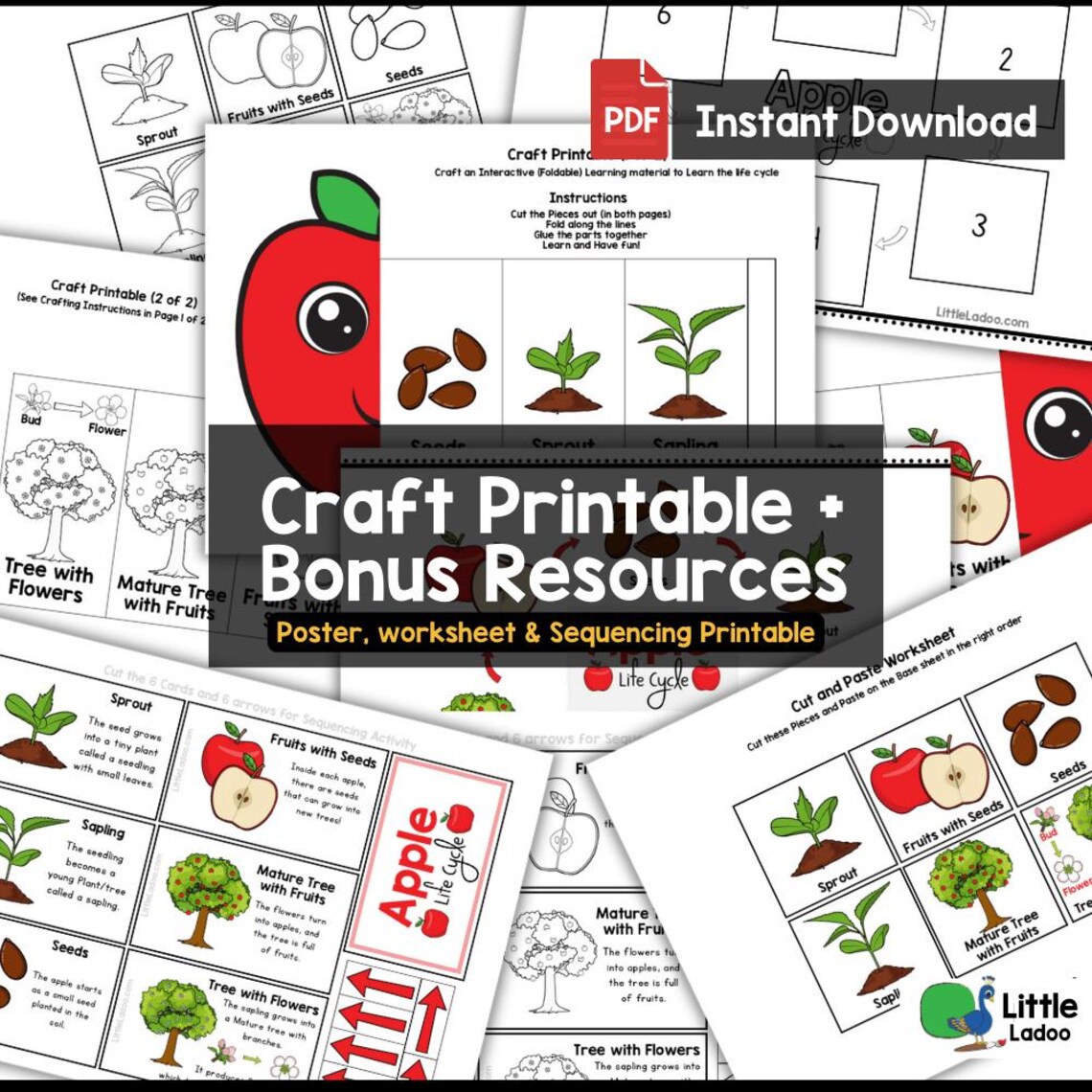 Apple Life Cycle Craft Printable - Foldable Life Cycle Activity - Etsy