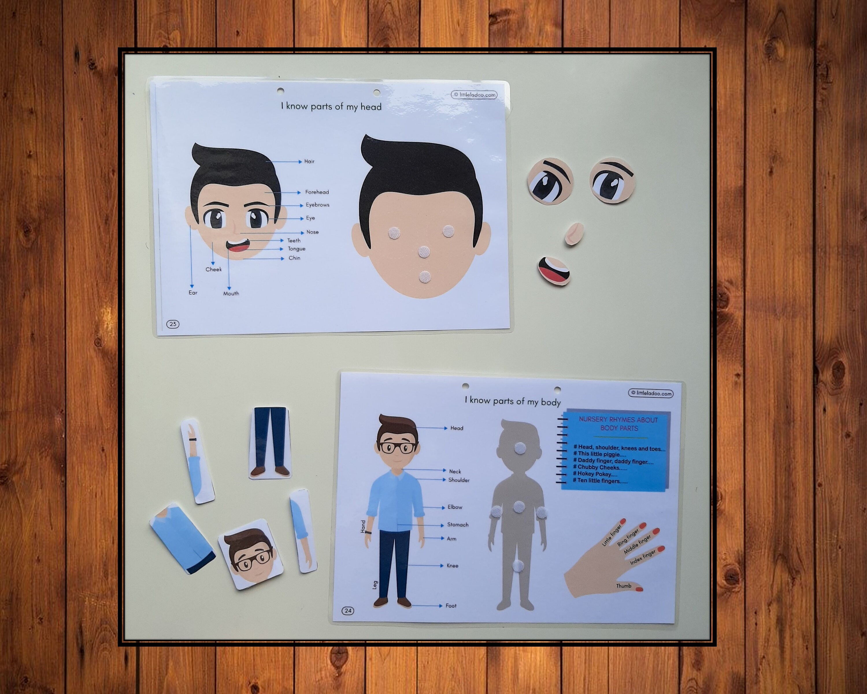 Body Parts Printable, Busy Book Page, Quiet Book Activity Page Learning ...