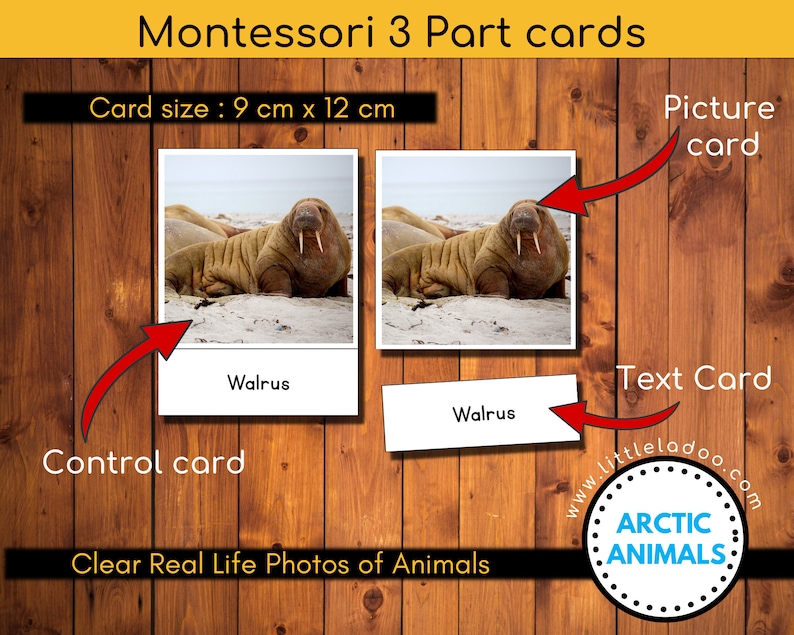 Arctic Animals Printable, Montessori 3 Part Cards , Safari Arctic Toob ...
