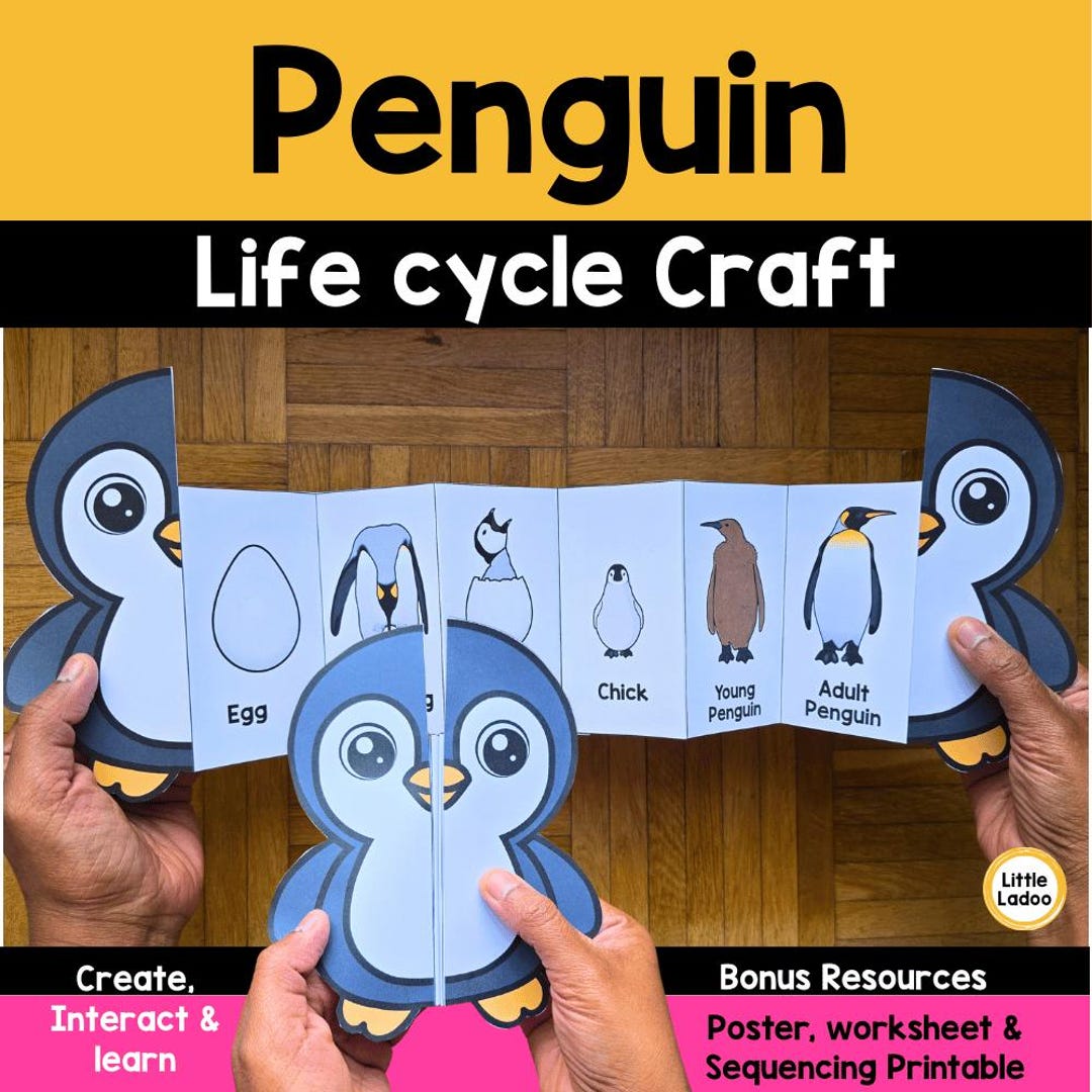 Penguin Life Cycle Craft Printable - Etsy