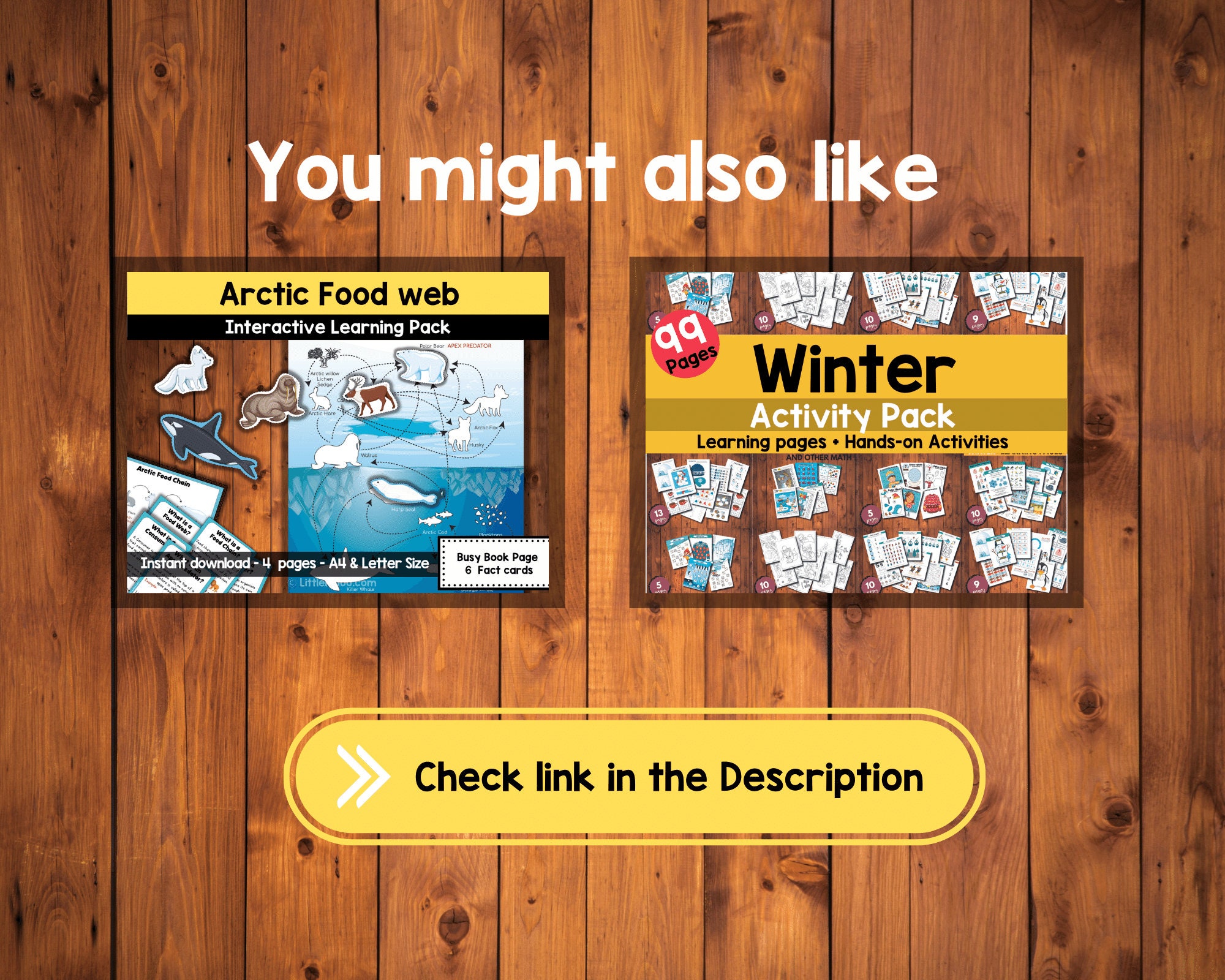 Aurora Printable Learning Pack - Learn About Polar Lights With ...