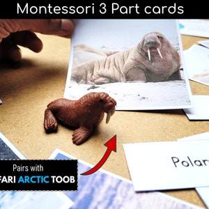 Arctic Animals Printable, Montessori 3 Part Cards , Safari Arctic Toob ...