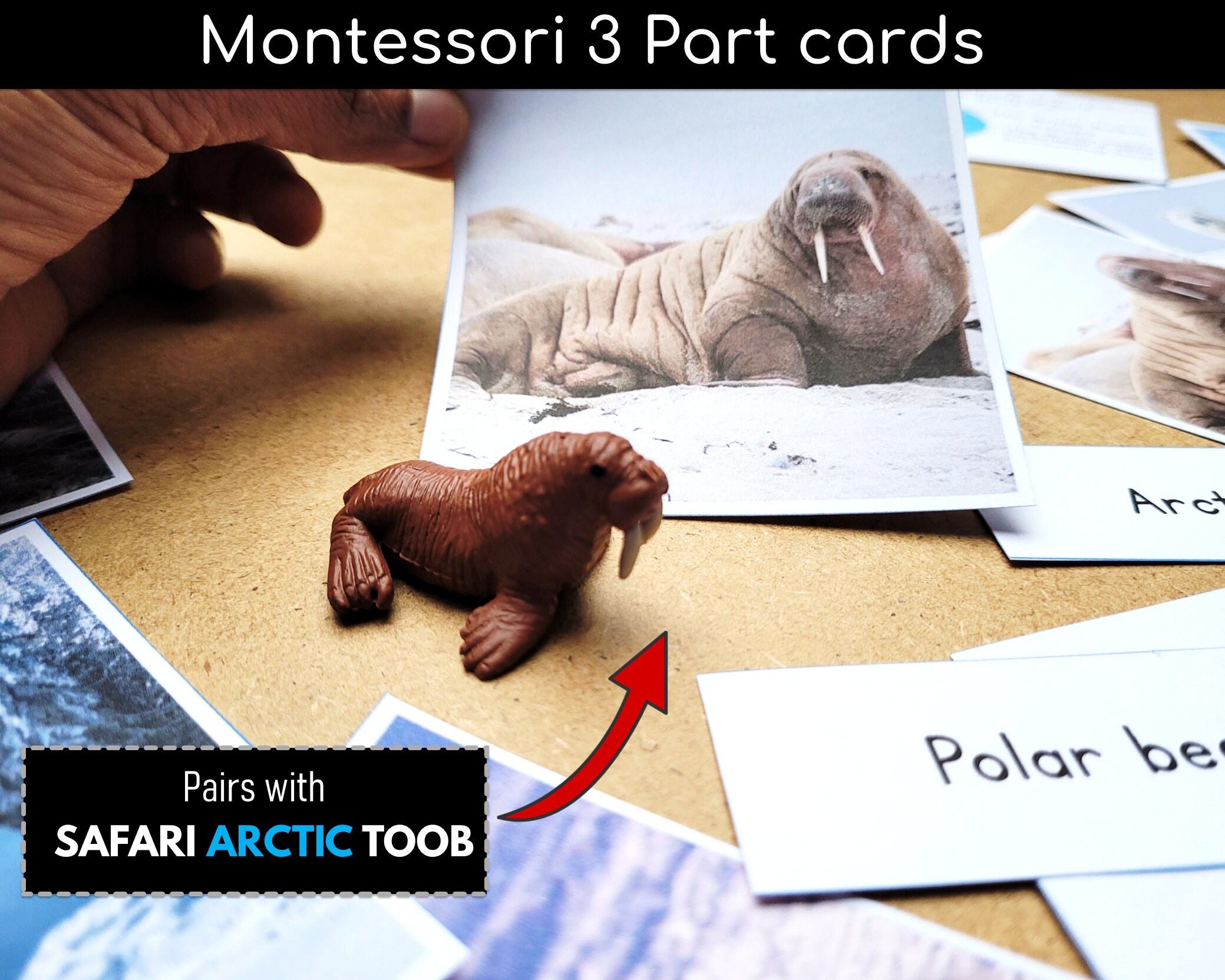 Arctic Animals Printable, Montessori 3 Part Cards , Safari Arctic Toob ...