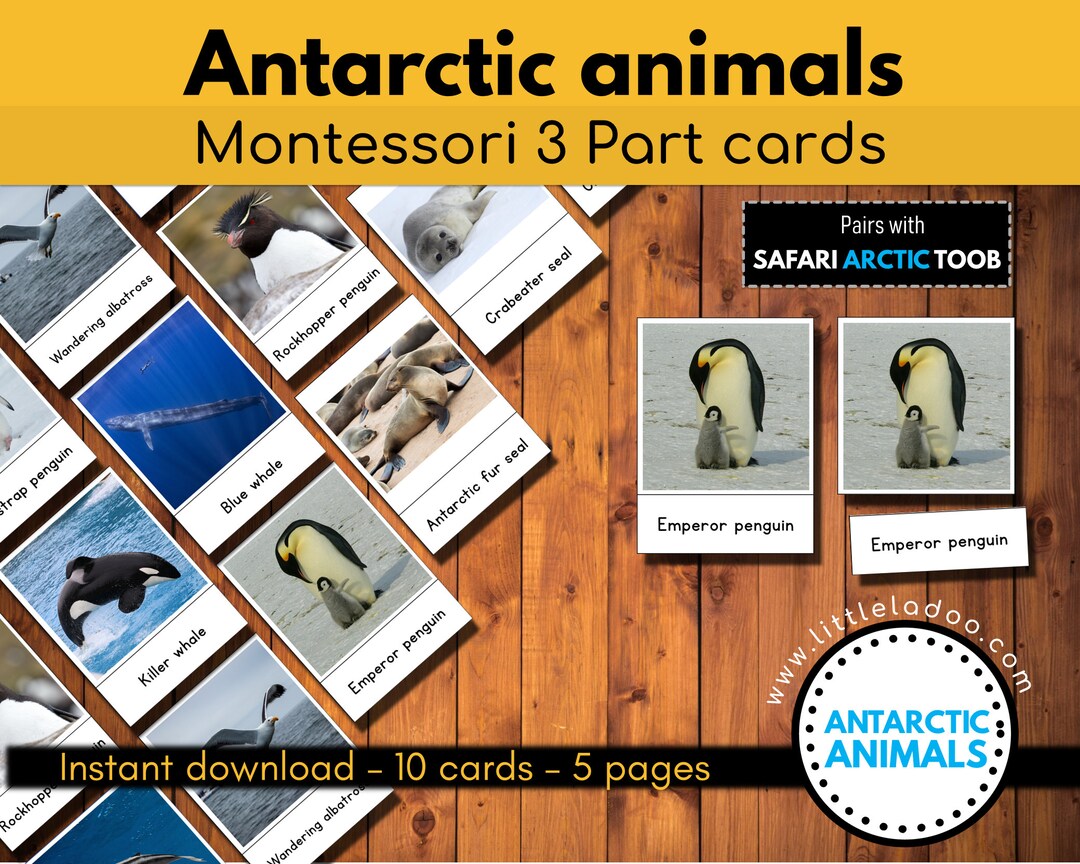 Antarctic Animals Printable, Montessori 3 Part Cards , Safari Arctic ...