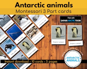 Montessori Safari Toob Cards - Etsy