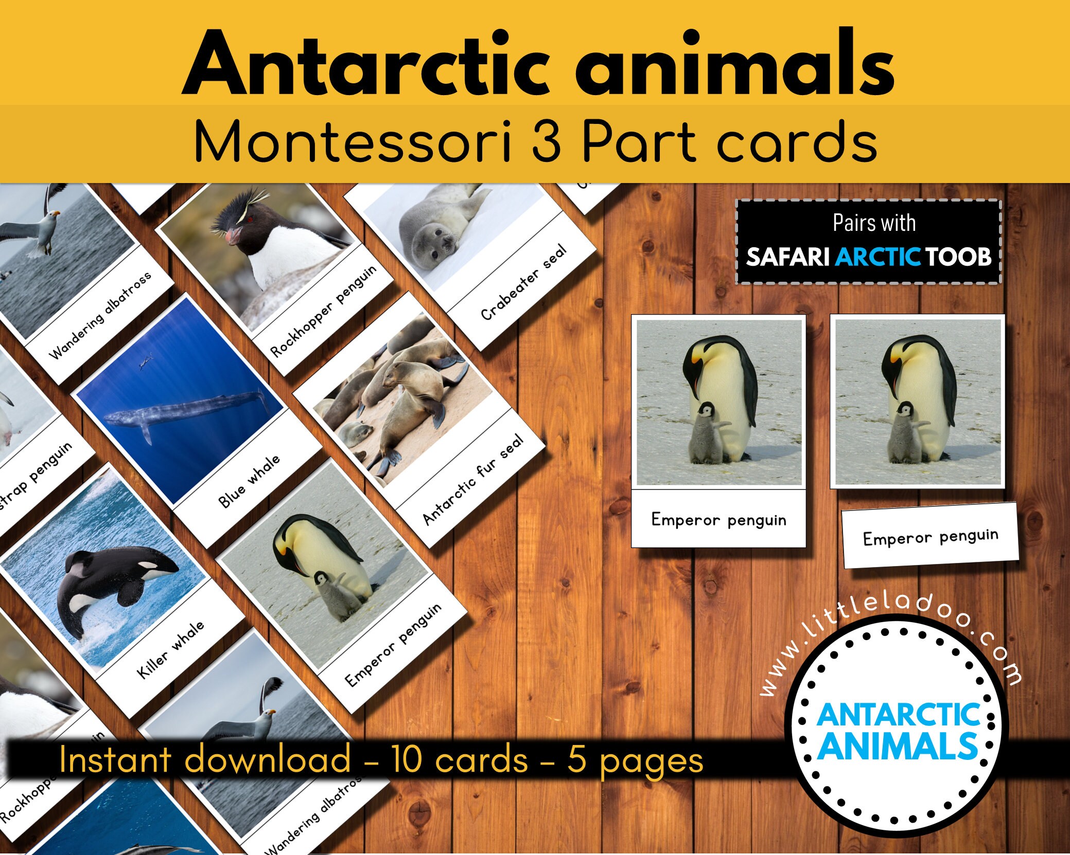 Antarctic Animals Printable, Montessori 3 Part Cards , Safari Arctic ...