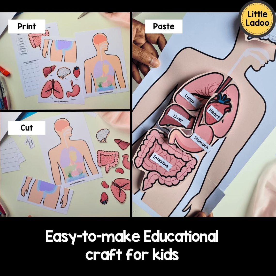 Human Body Internal Organs Craft, Printable Anatomy Craft for Kids ...