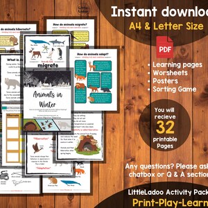 Animals in Winter Printable Pack - Learn About Hibernation, Adaptation ...