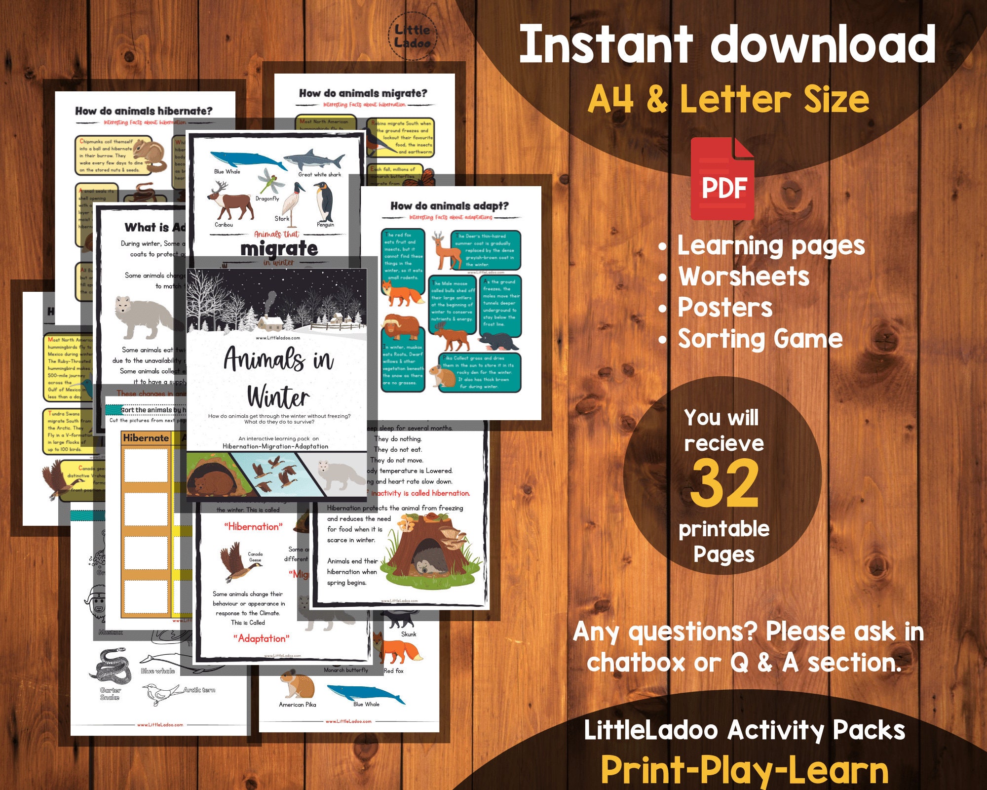 Animals in Winter Printable Pack - Learn About Hibernation, Adaptation ...