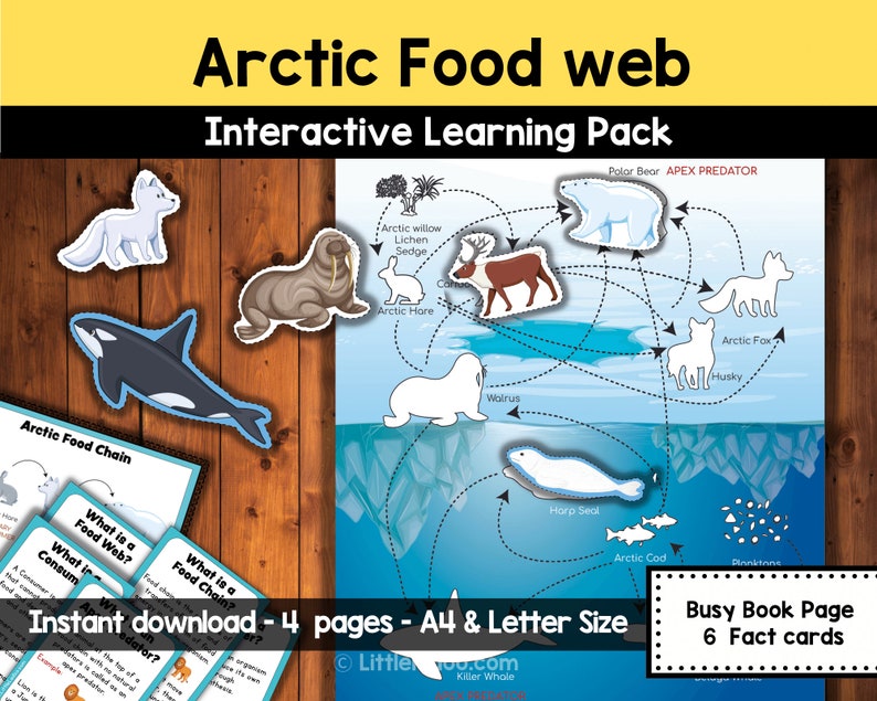 Arctic Food Web Printable - Interactive Learning Pack -- Busy Book Page ...