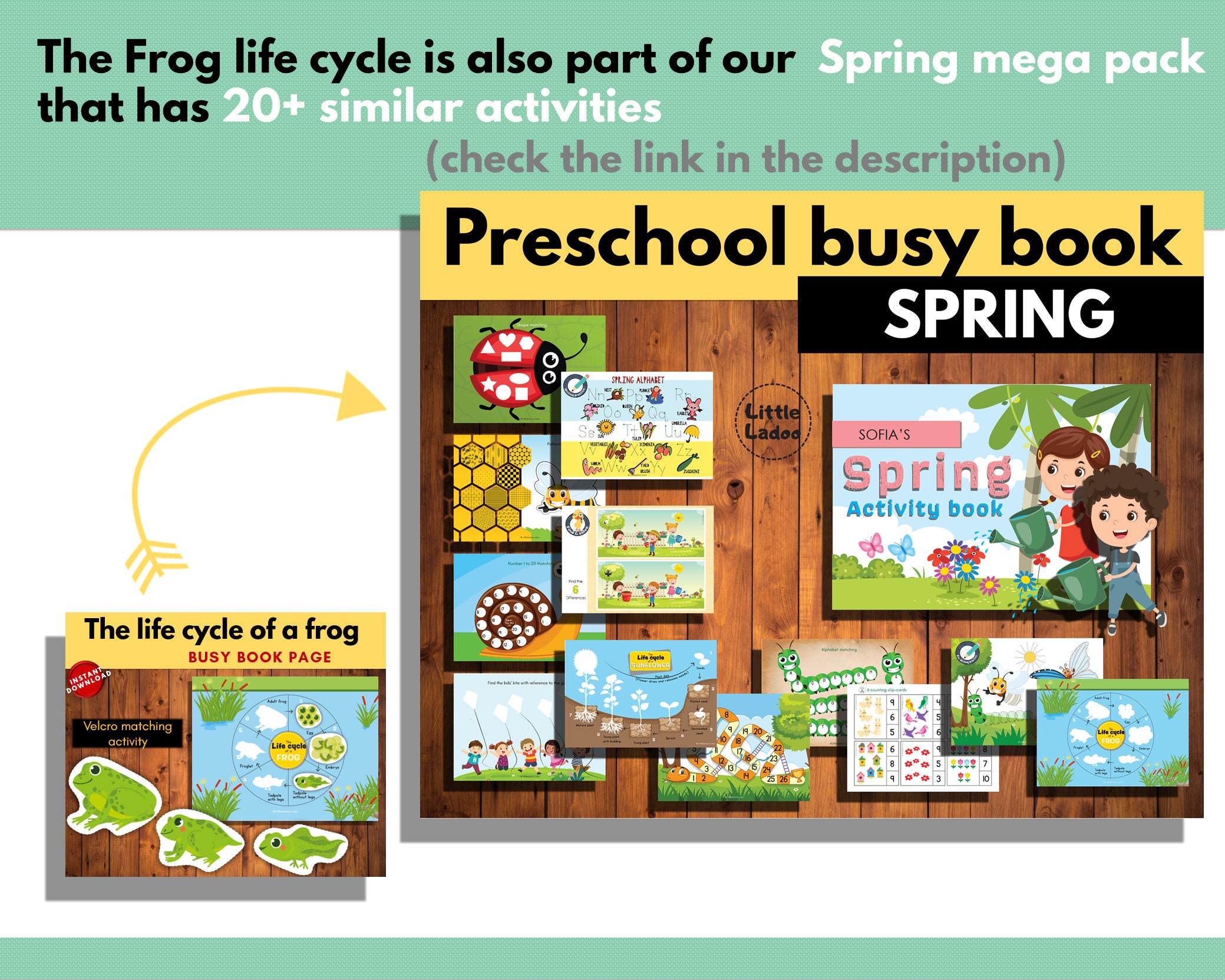 Life Cycle of a Frog : Busy Book Page Printable - Etsy