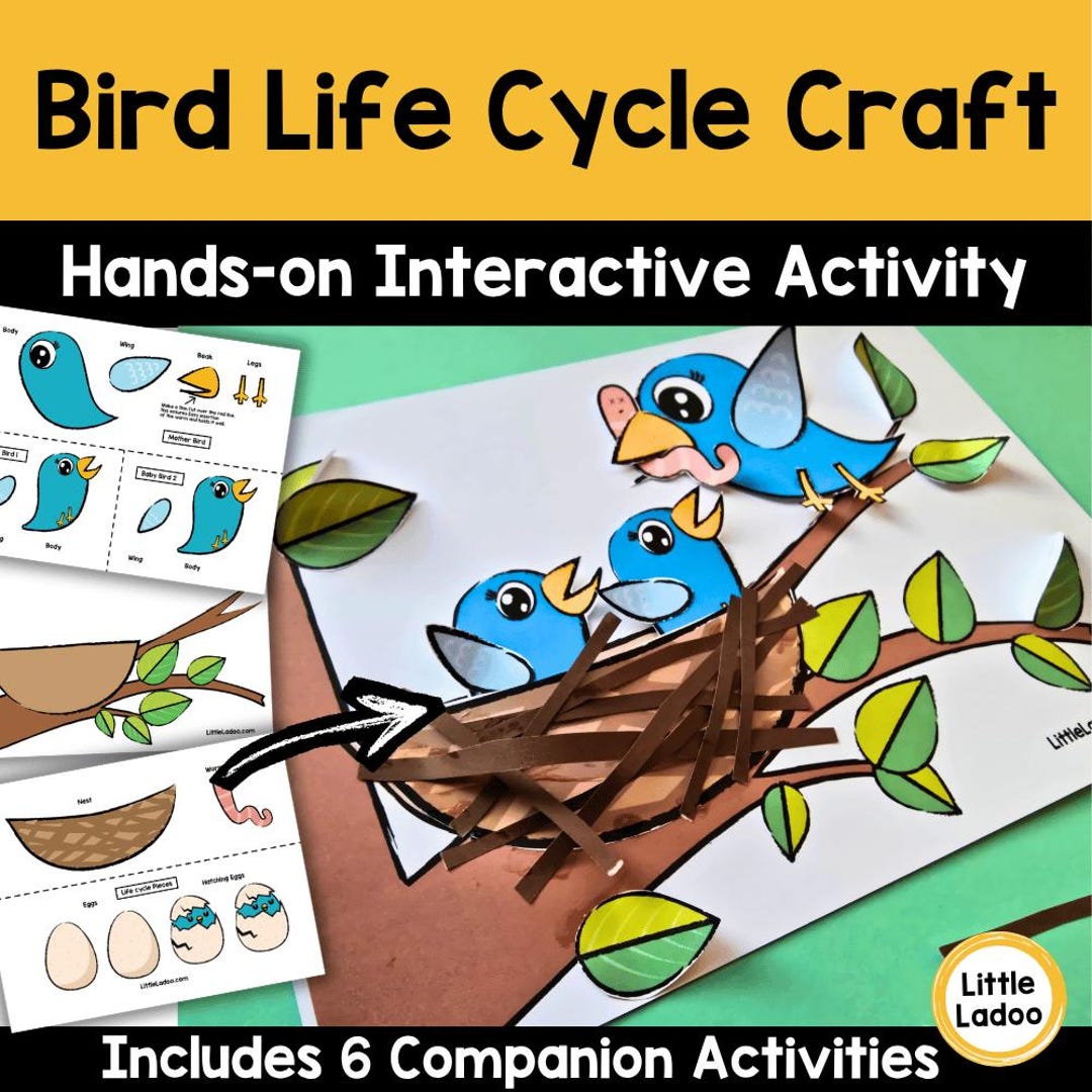 Spring Bird in Nest Craft Printable – Life Cycle of a Bird Activity ...