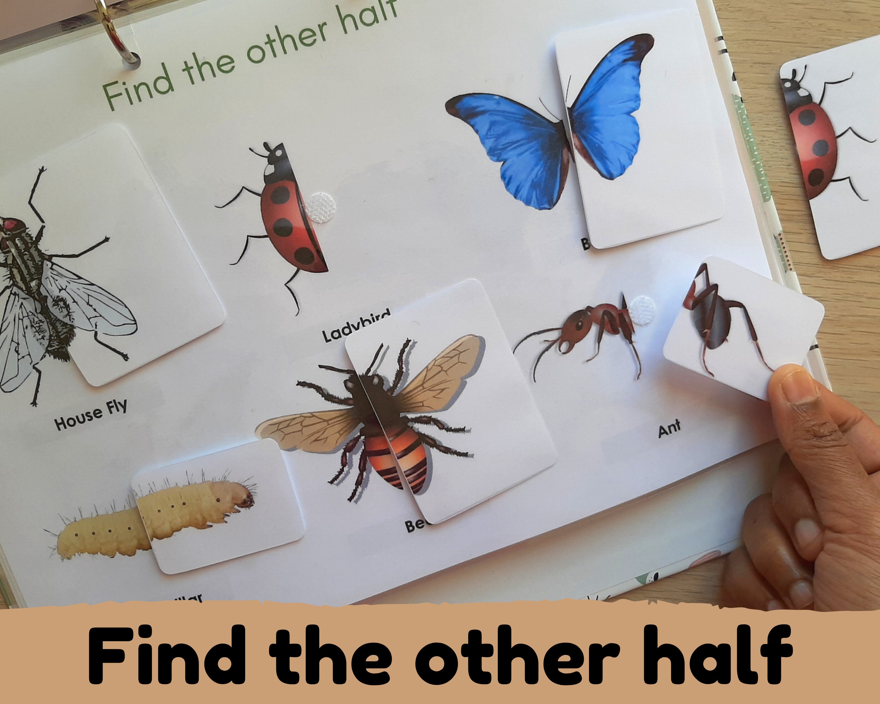 TODDLER BUSY BOOK, Printable Insect Quiet Book, Toddler Learning Binder ...