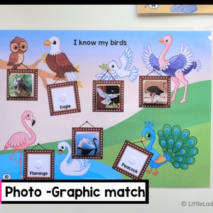 Toddler Busy Book, Toddler Learning Binder, Learning Folder, Preschool ...